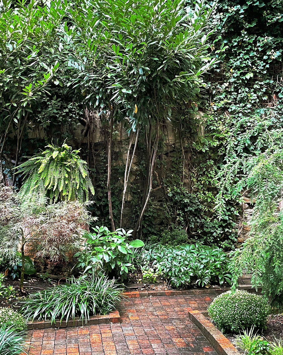 Upper West Side, Brownstone Backyard - Londono Gardens